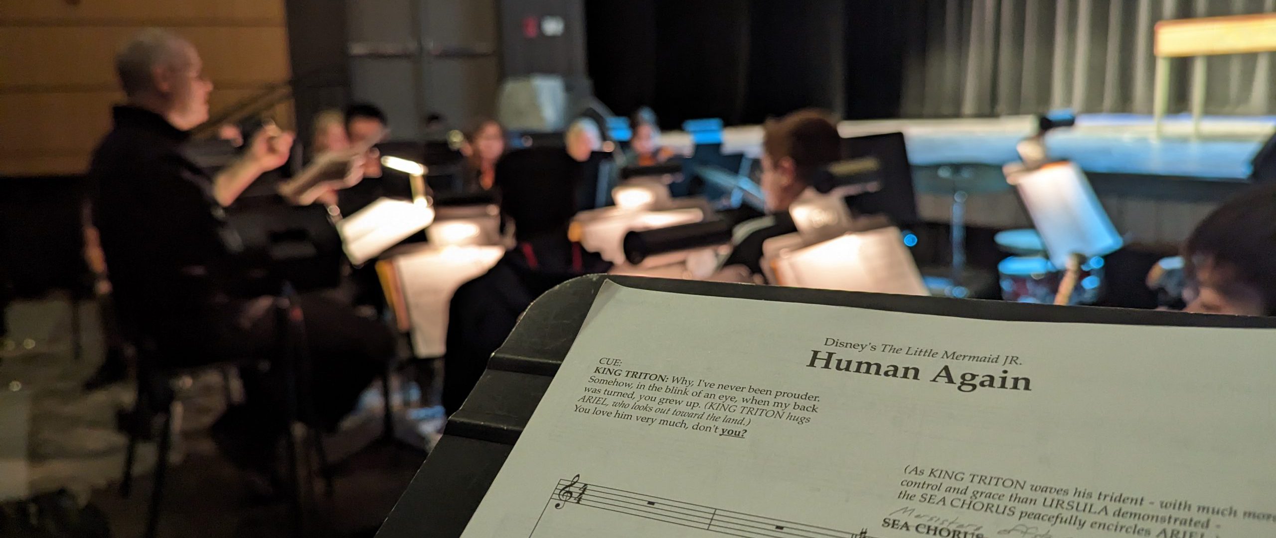 “The Little Mermaid Jr.” is sure to make a splash - Jamesville-Dewitt ...